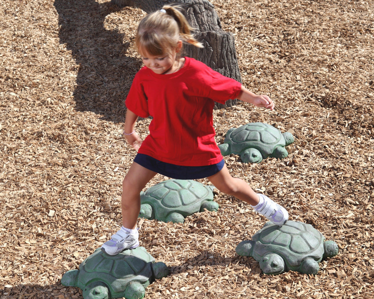 Stepping Turtles – Playground Street